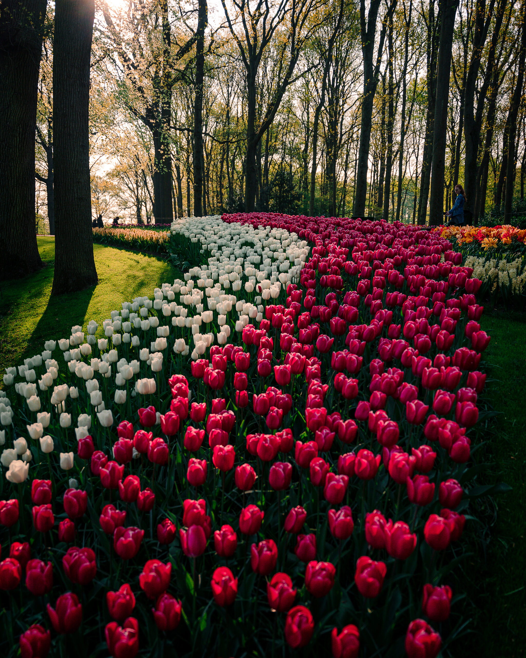 Where to Go for a Romantic Spring Weekend in Europe - Epic Travel ...