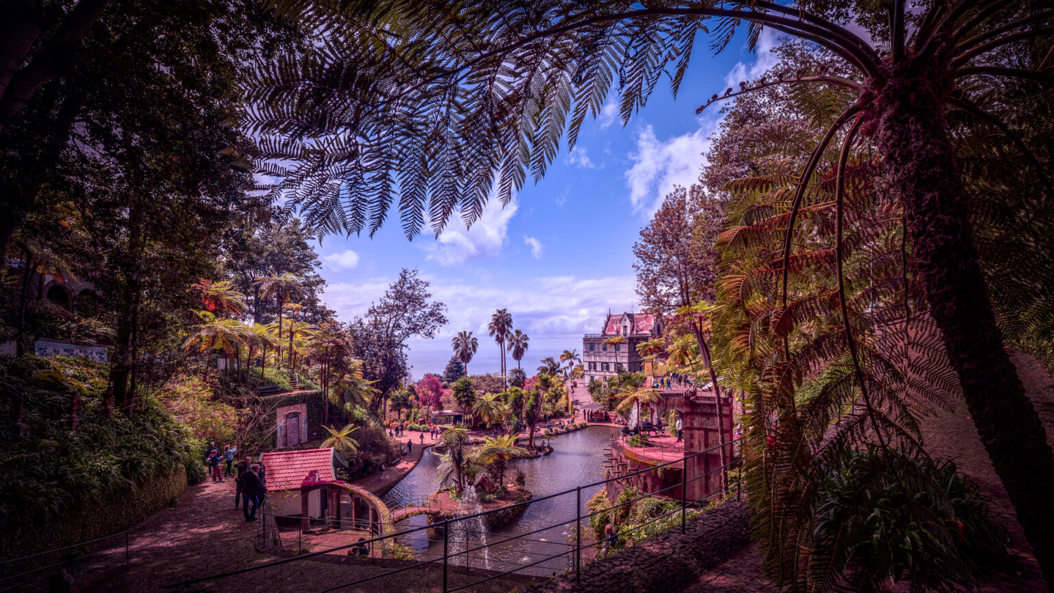 One Week in Madeira Guide for a Great Photography Trip